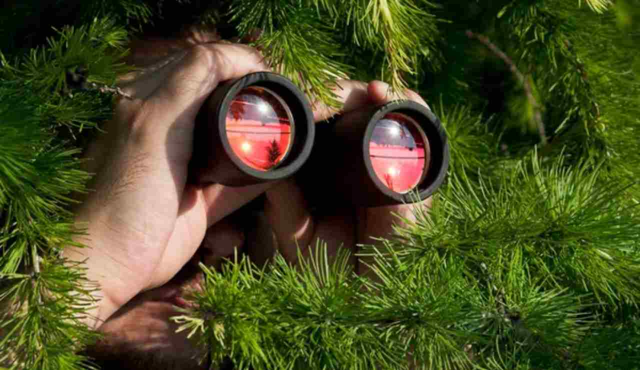 7 spie che ti tradisce: con questi segnali é da vero molto probabile ...